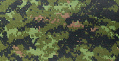 Canadian CADPAT – Arktis Store